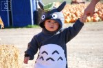 Sew & Tell: Totoro Costume | you and mie